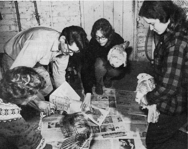 On the Shoulders of Giants – Adirondack Raptors