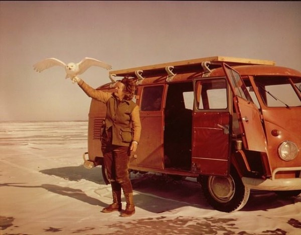 On the Shoulders of Giants – Adirondack Raptors